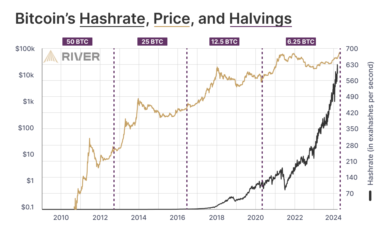What Is a Bitcoin Halving? | River