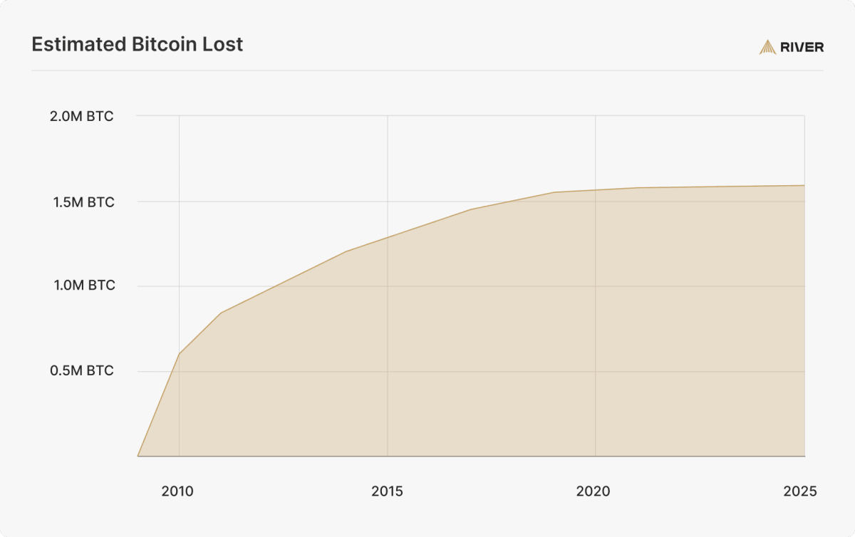 Navigating Bitcoin Storage - River Intelligence